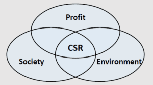 Milton Friedman’s Shareholder Theory On CSR: A Critical Analysis